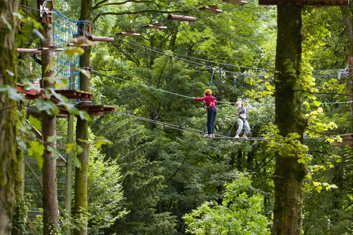 Castlecomer Discovery Park | 4* Midlands Park Hotel