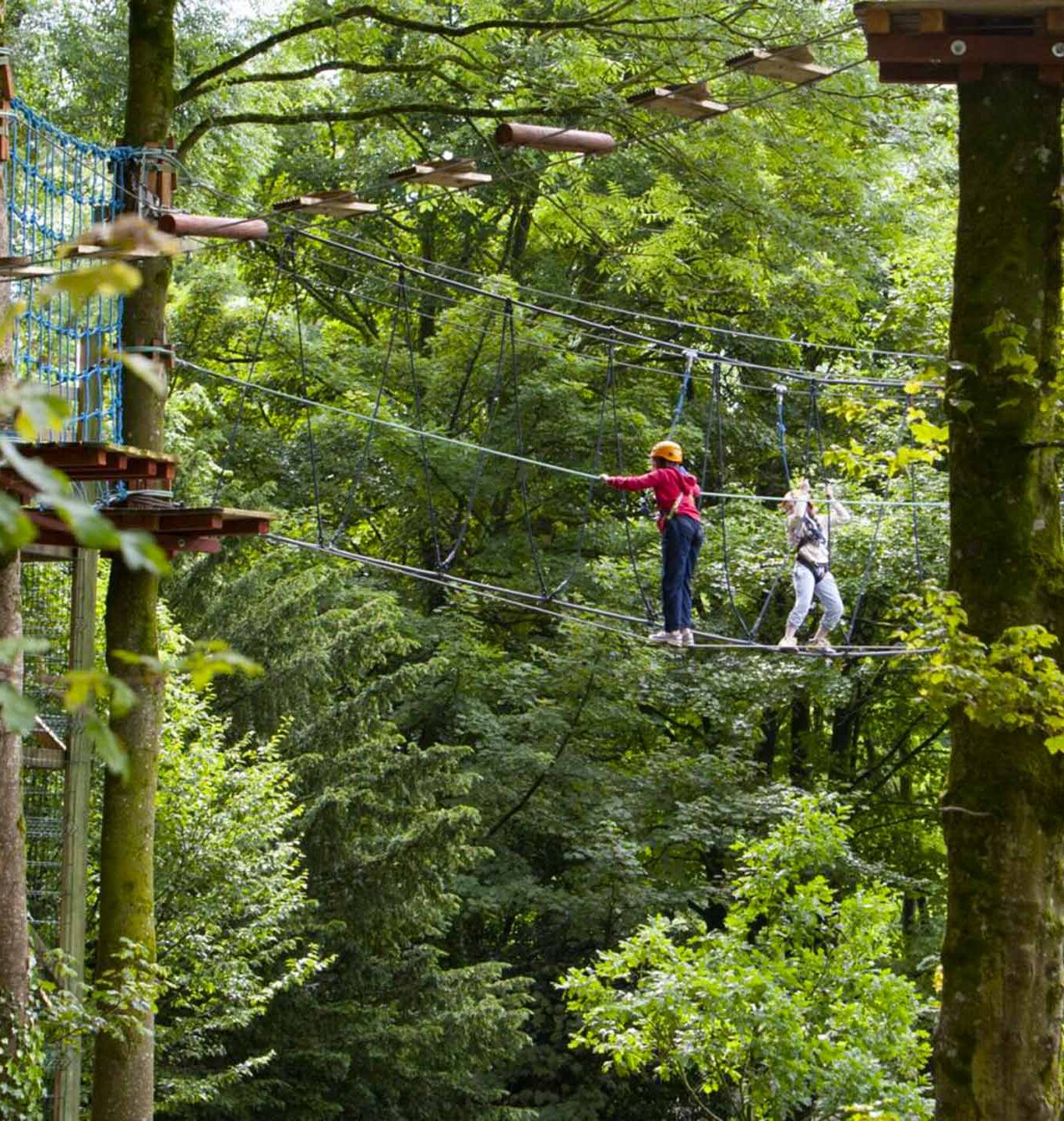 Castlecomer Discovery Park | 4* Midlands Park Hotel