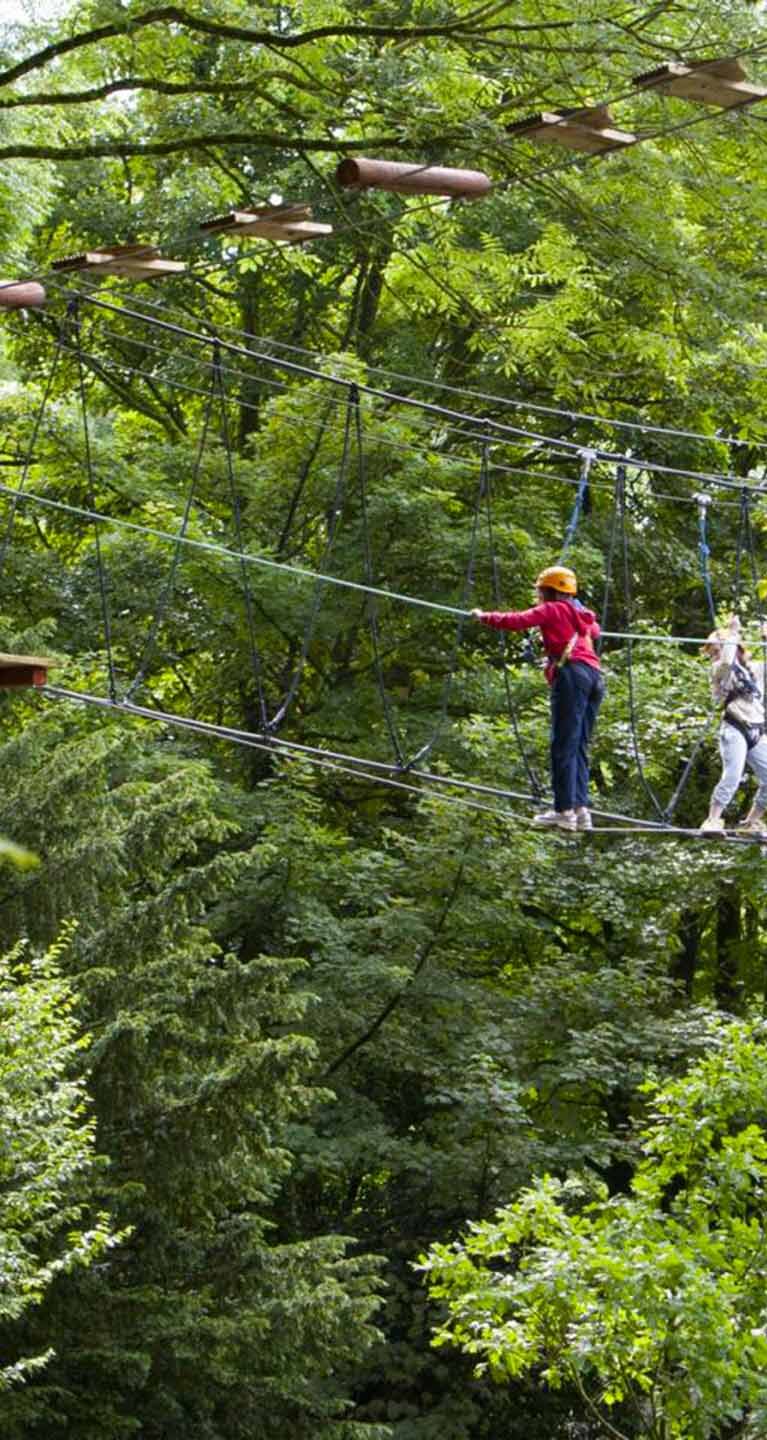 Castlecomer Discovery Park | 4* Midlands Park Hotel