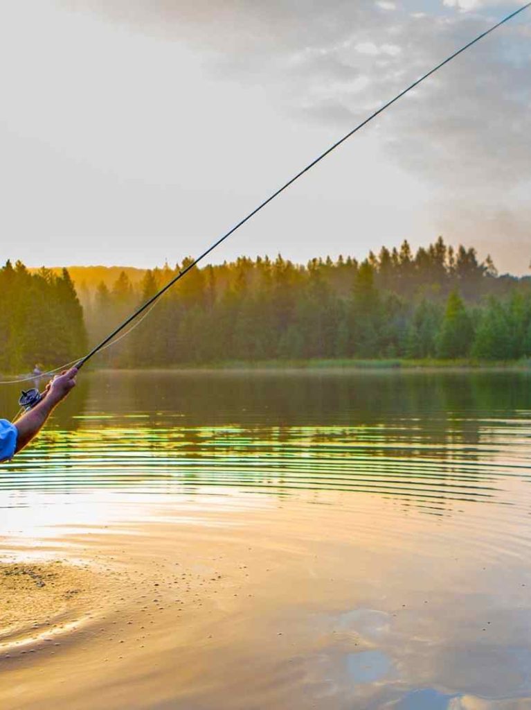 Local Activities | Things to Do in the Midlands | Midlands Park
