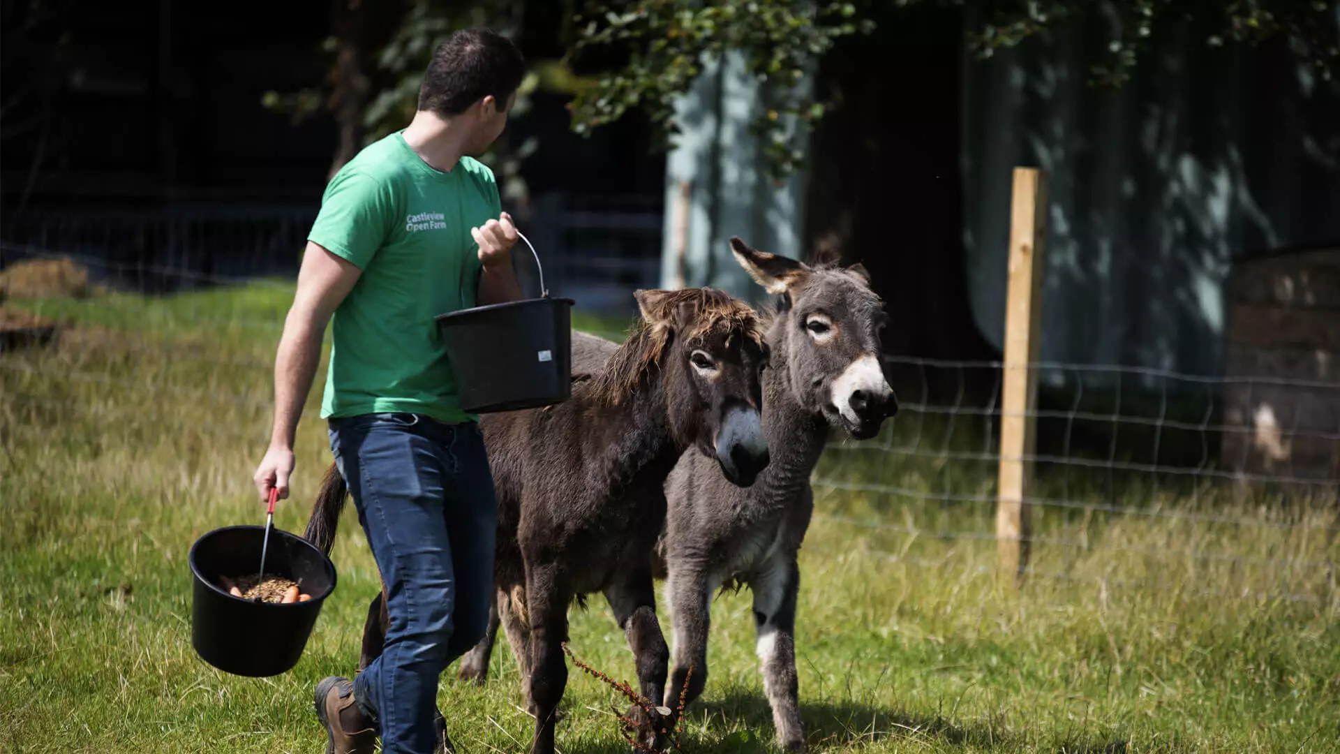 Visit Santa at Castleview Open Farm | Santa Visits Ireland | Midlands Park