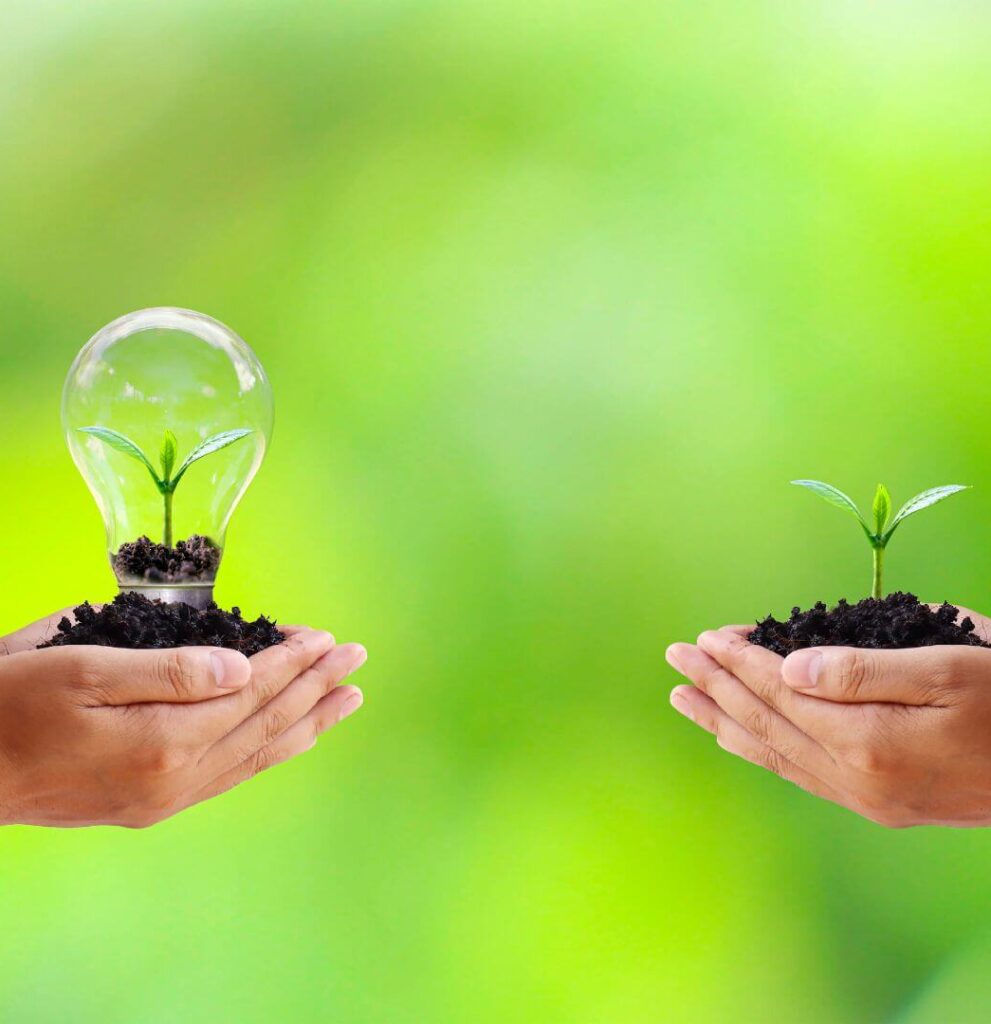 Sustainability Goals | Environmentally Friendly Hotel | Midlands Park Hotel